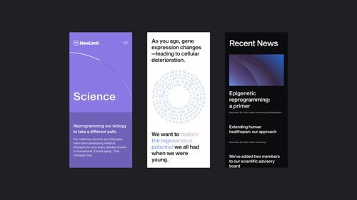 NewLimit Case Study | RocketAir
