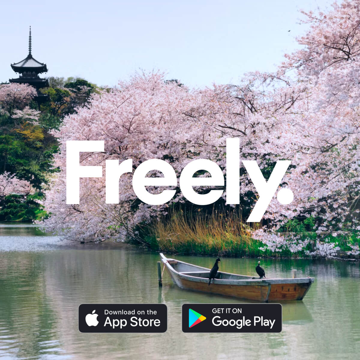 Travel Insurance for Japan | Freely AU