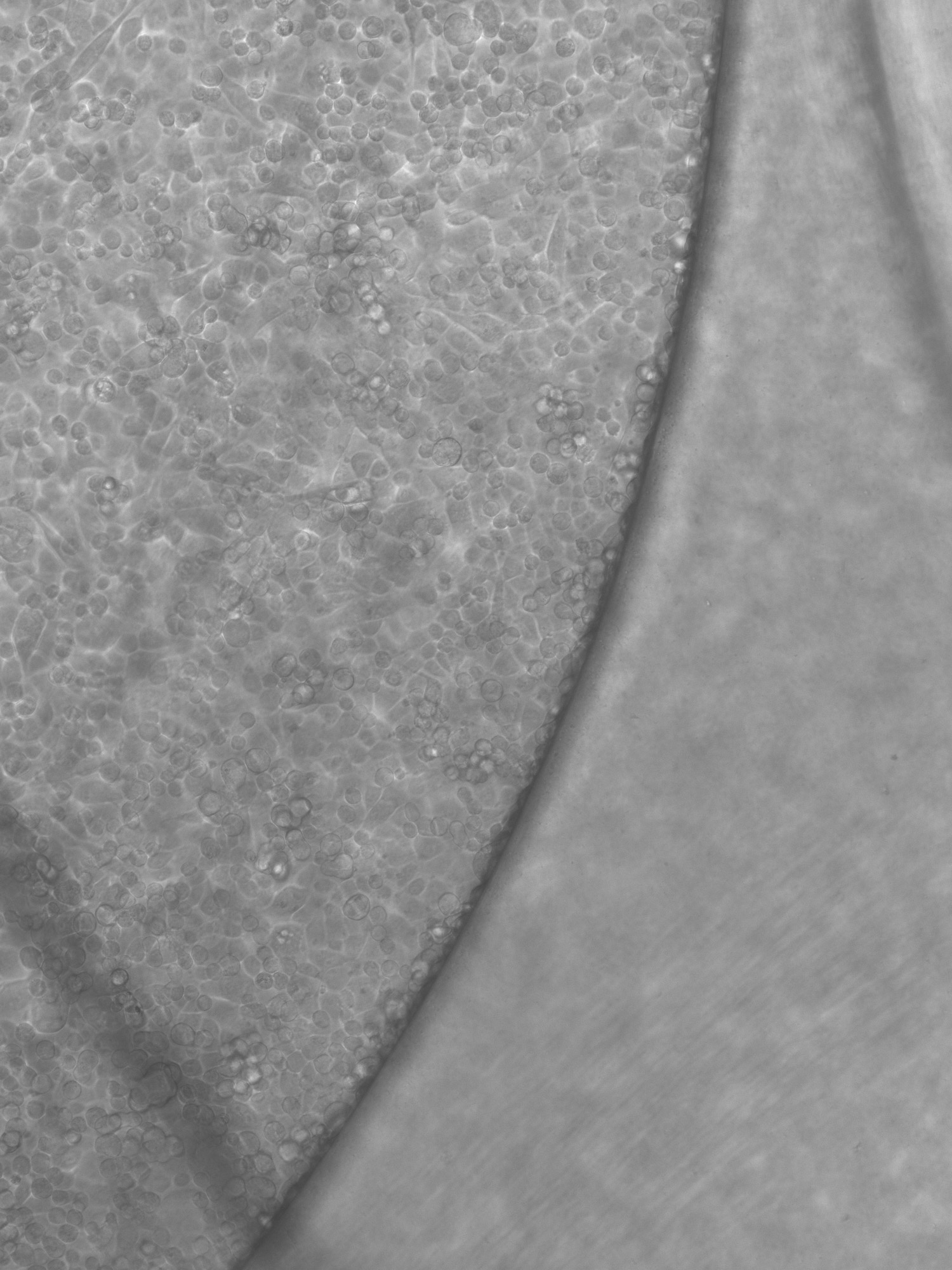 Cellbox Labs Technology