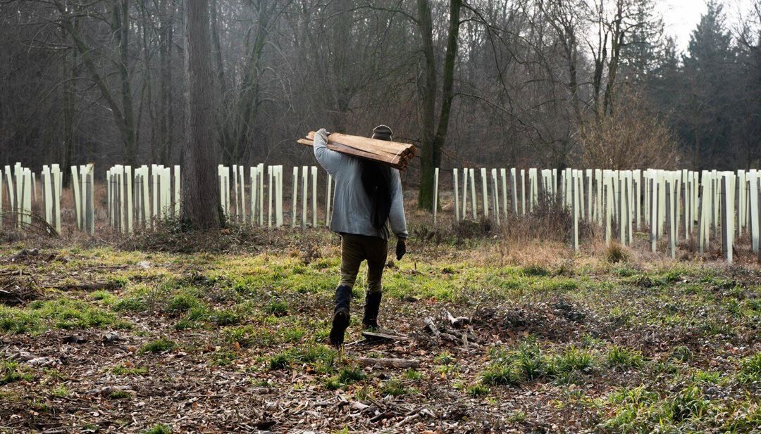 Recycling Plastic Tree Shelters – a Panacea to Plastic Pollution ...