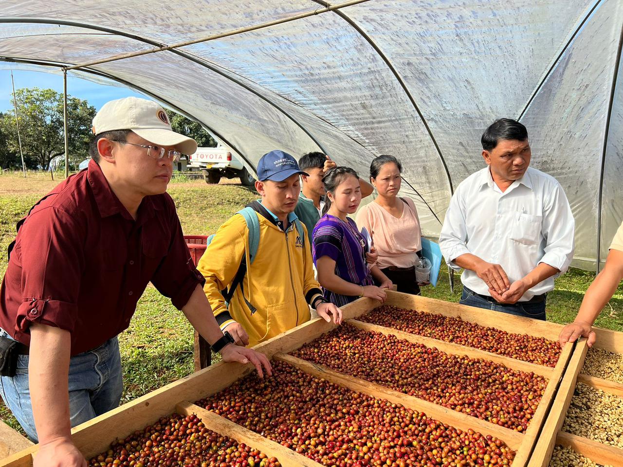 Post-Harvest Processing Good Practices Training in Laos