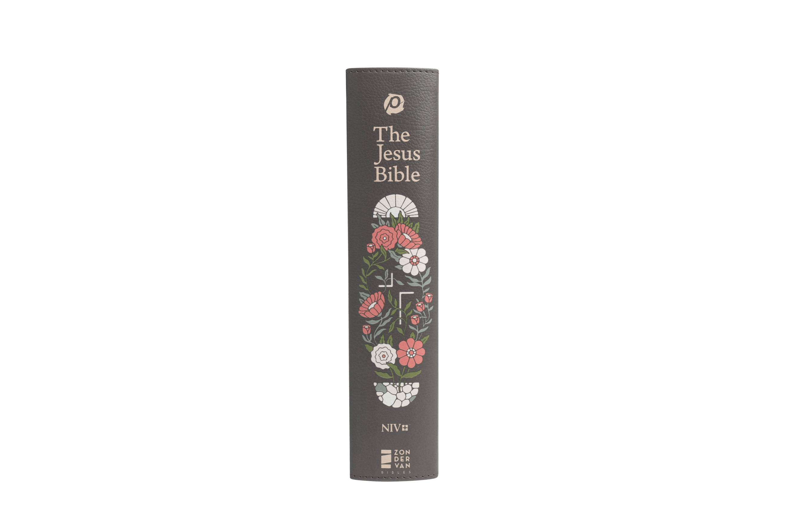 The Jesus Bible Artist Edition - Joshua Noom - NIV