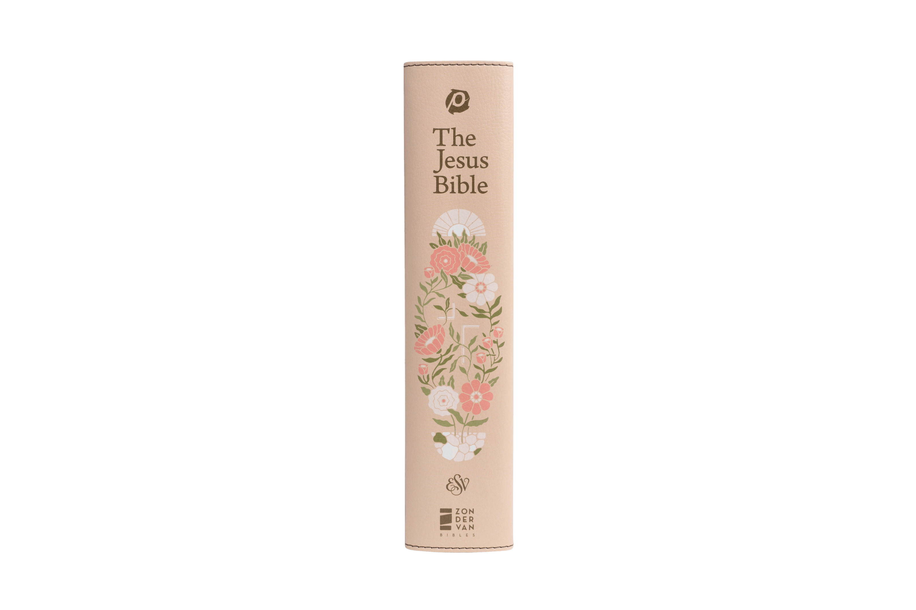 The Jesus Bible Artist Edition - Joshua Noom - ESV