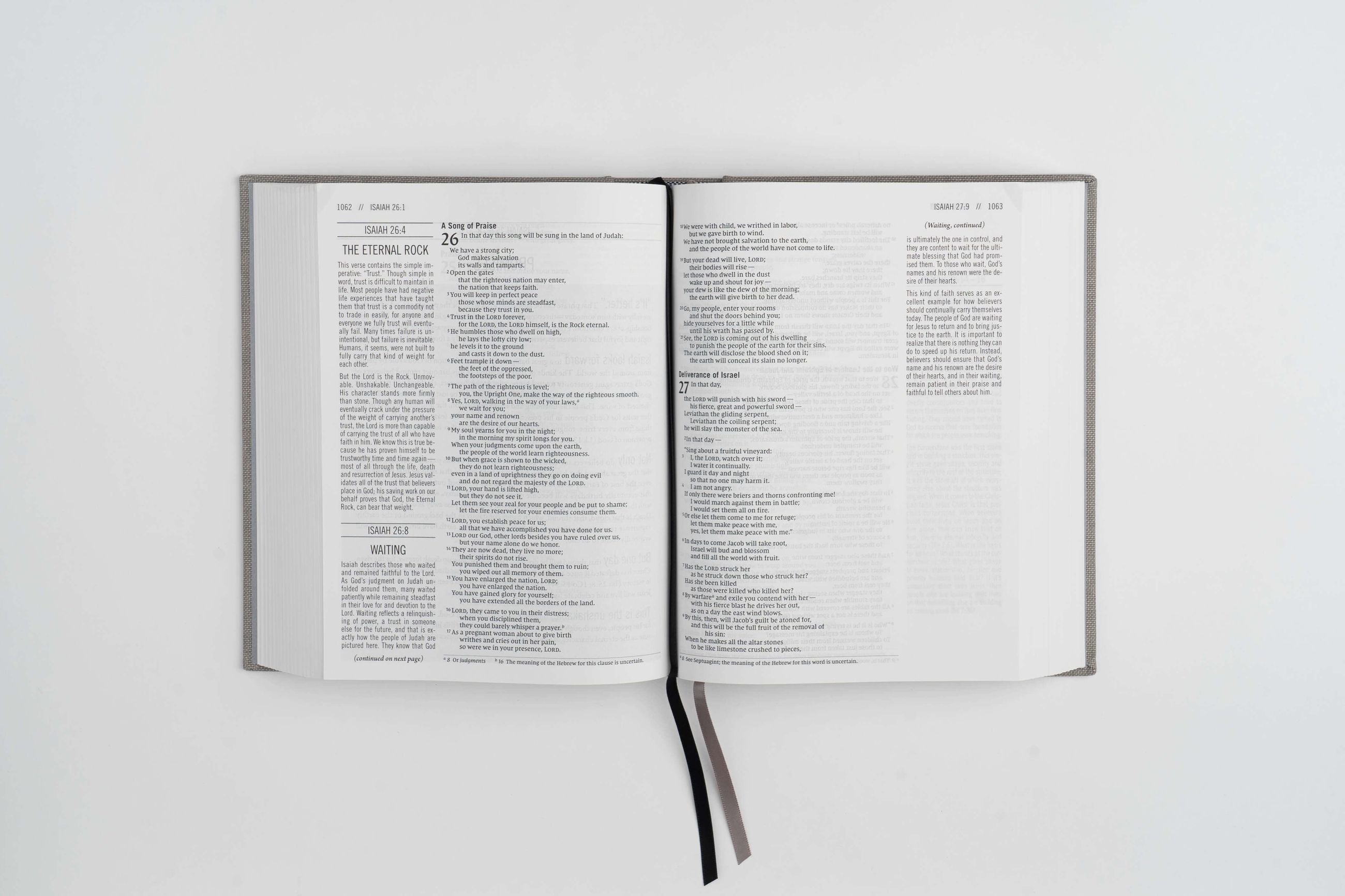 Bibles - The Jesus Bible