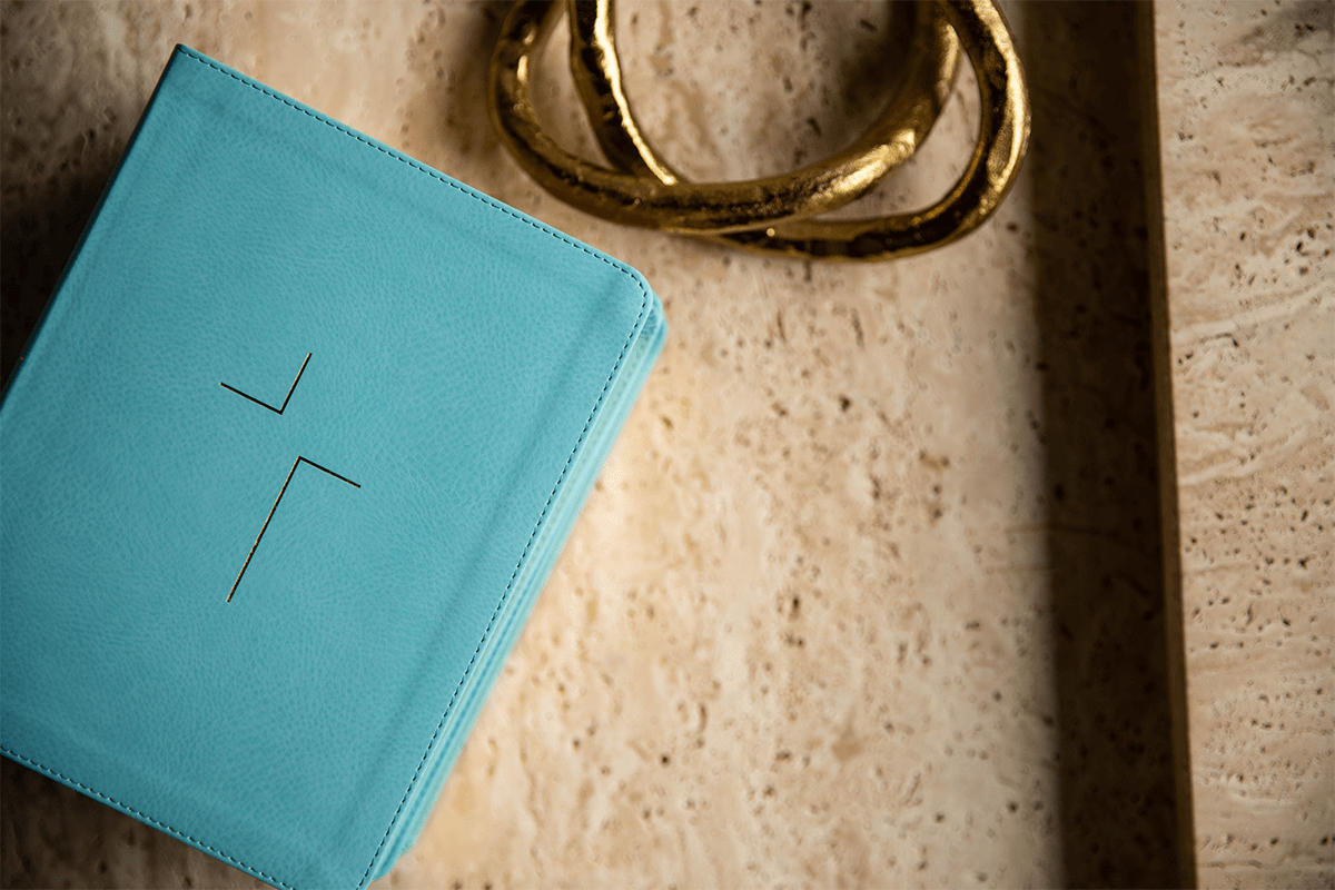 The Jesus Bible - NIV - Blue Leather