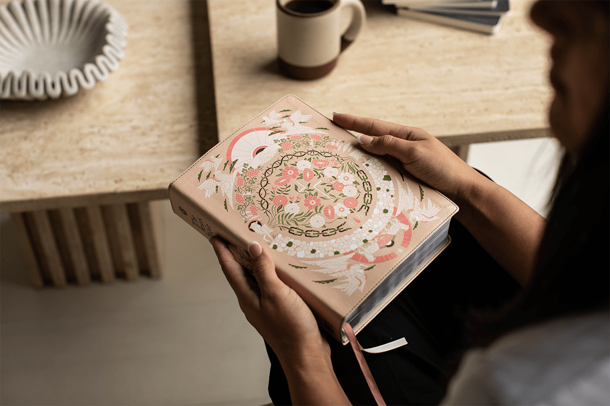 The Jesus Bible Artist Edition - Joshua Noom - ESV