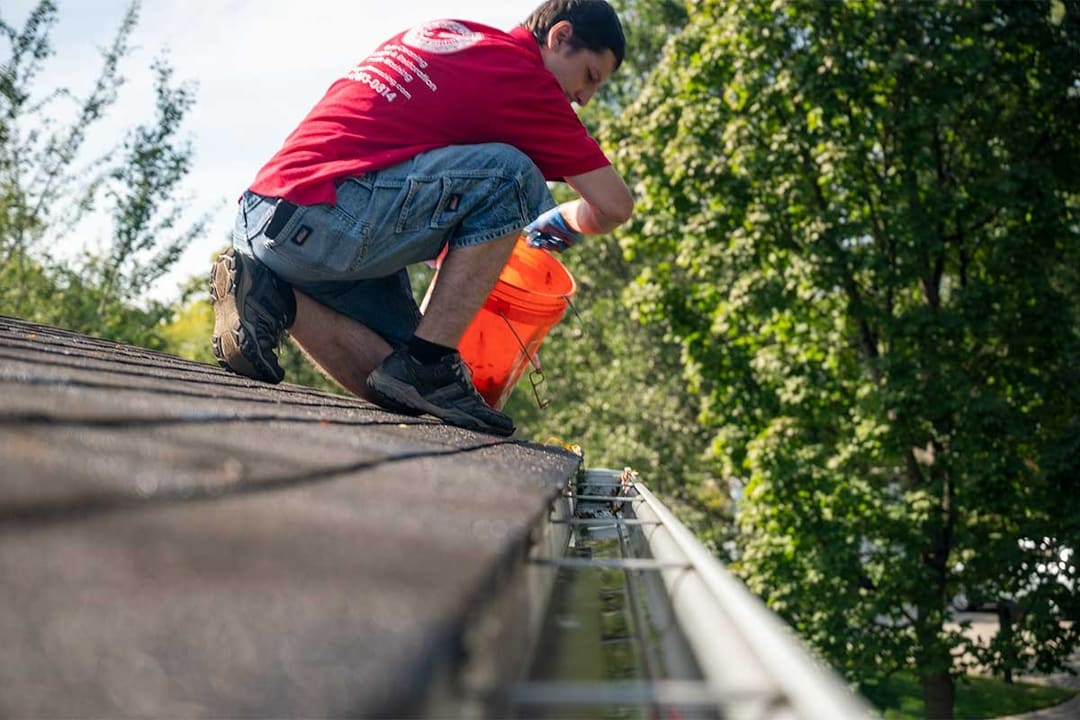 Chicago Window Cleaning & Exterior Cleaning Services | Sparkle Window ...