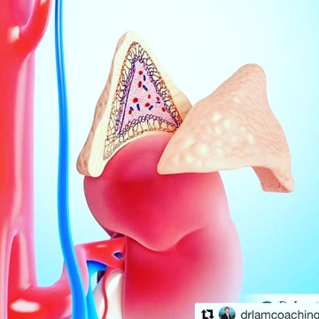 Fertility Clinic & IVF Doctors East Melbourne | Dr Alex Polyakov