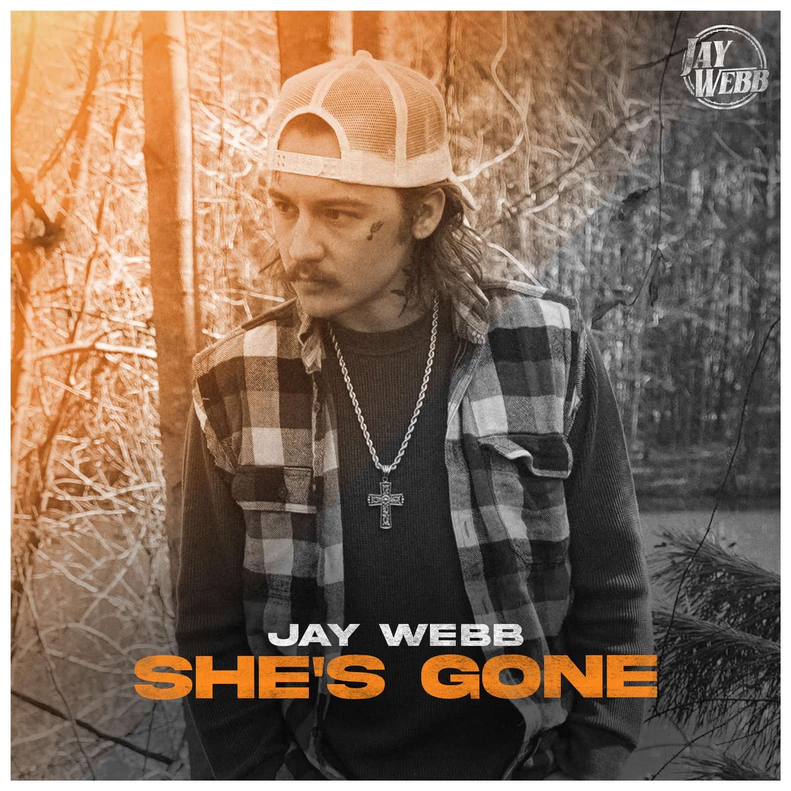 Jay Webb