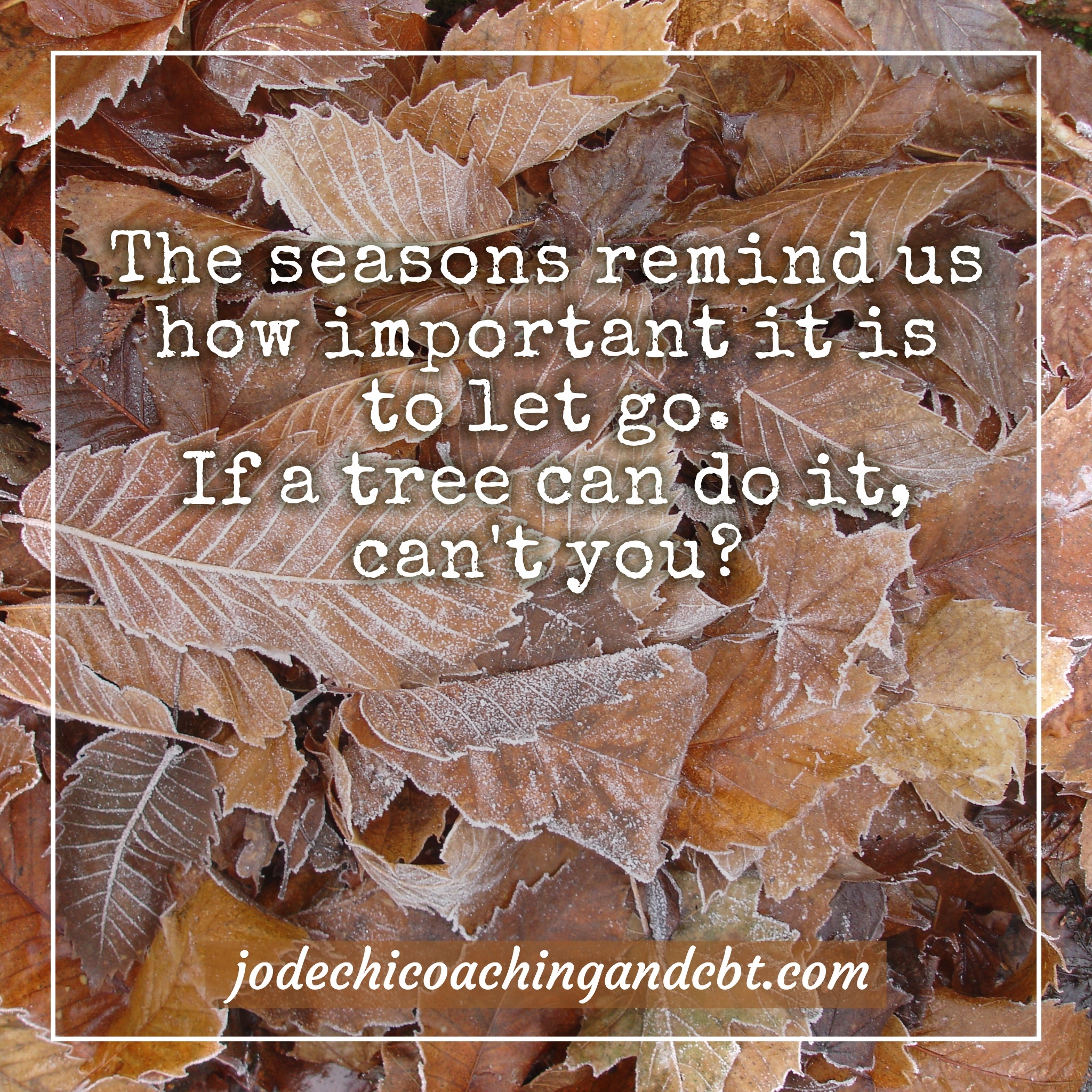 Autumn teaches us about letting go.