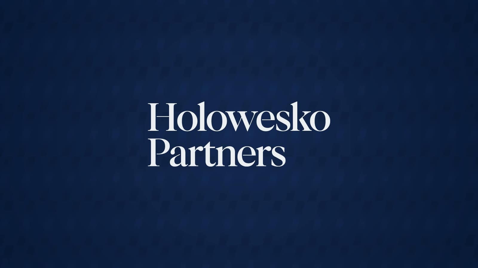 Updates | Holowesko Partners