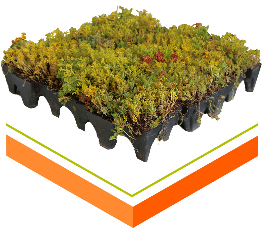 GrufeKit green roofing solution