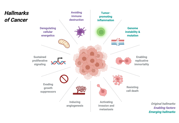 BioRender - Features