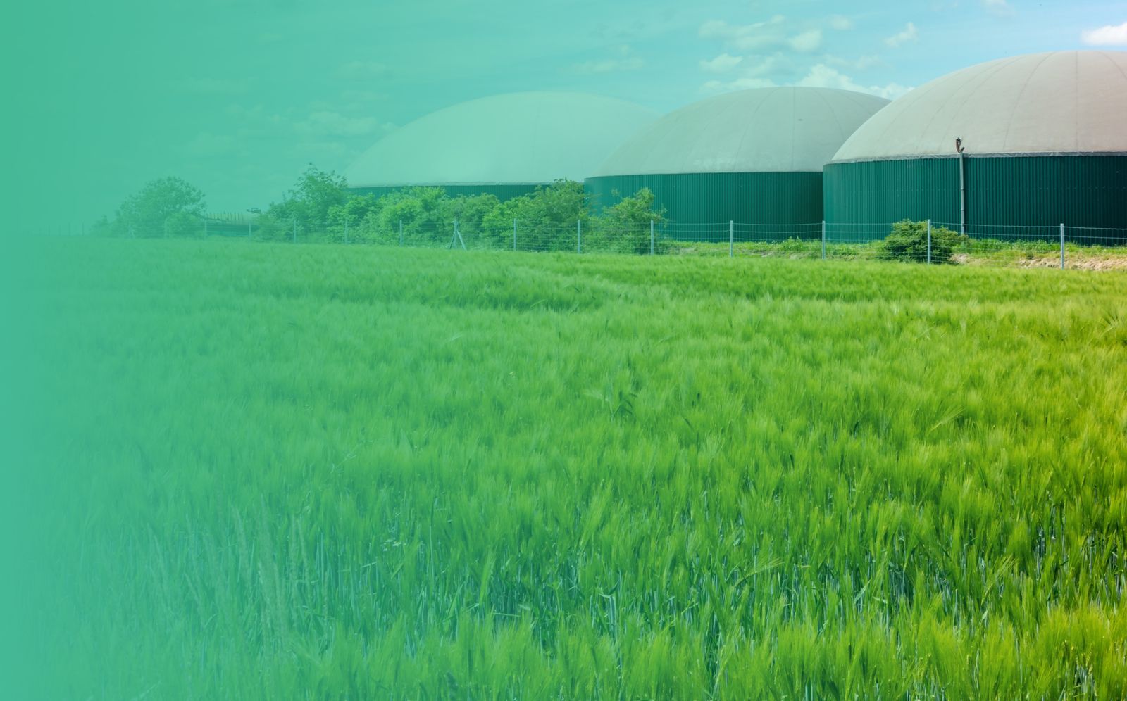 DCL Technology Group