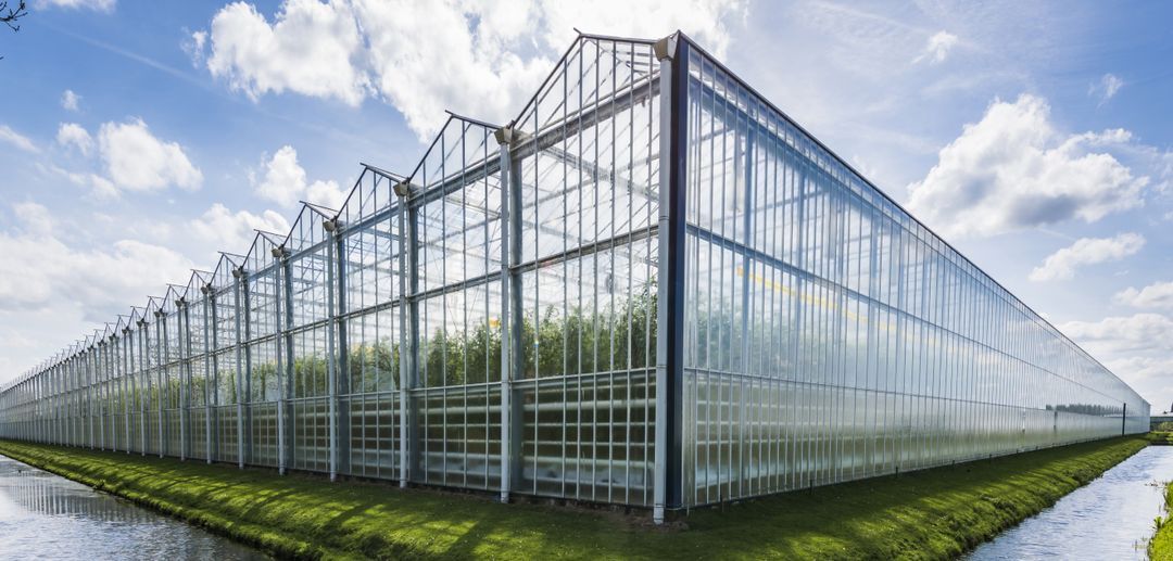 DCL Technology Group