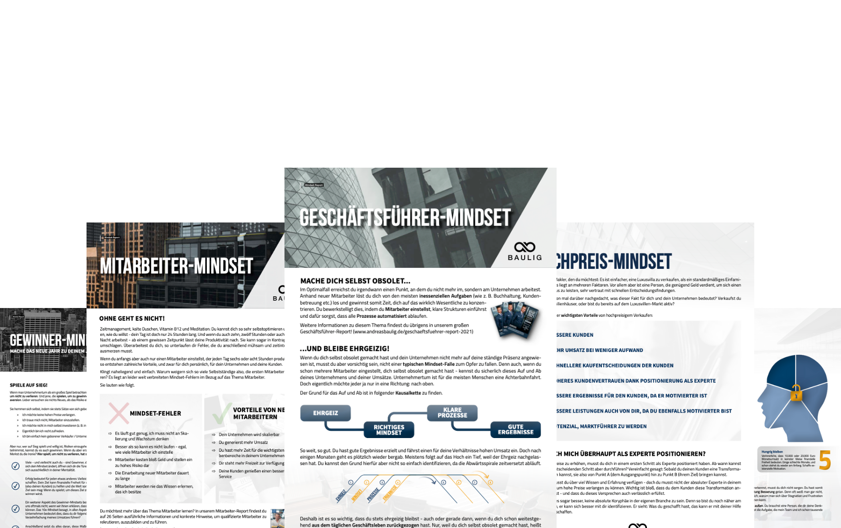 Mindset-Report 2022 von Markus Baulig