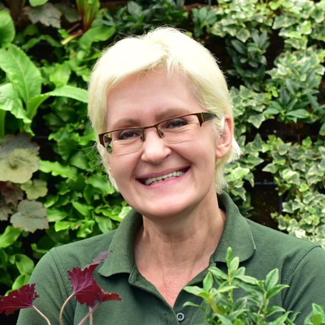 GrufeKit green roofing solution