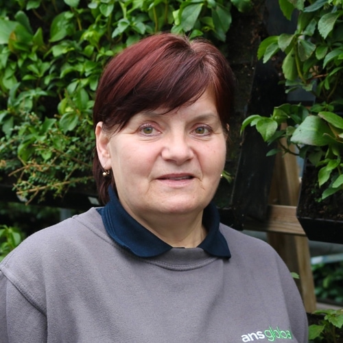 GrufeKit green roofing solution