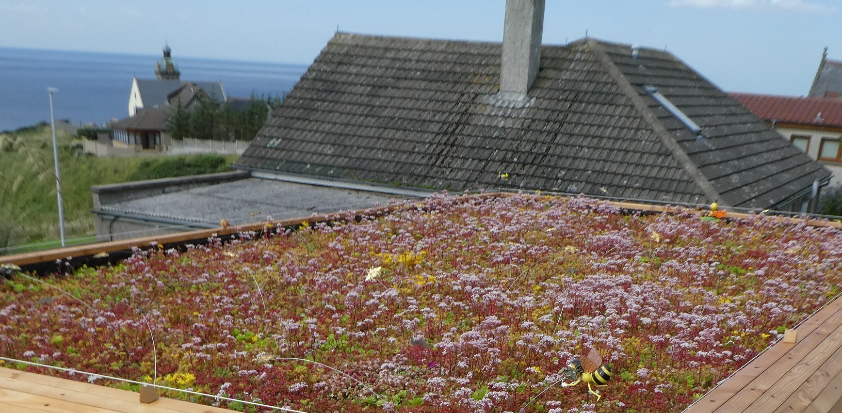 Shed Refurbishment - GrufeKit Case studies