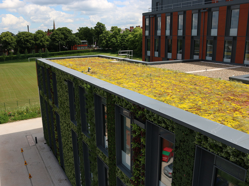 University of Leicester - GrufeKit Case studies
