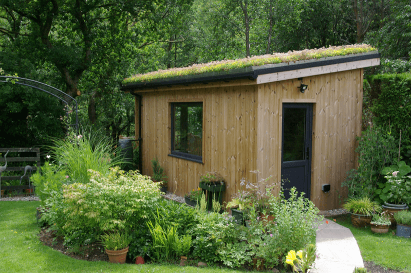 5 Reasons to Add a GrufeKit Green Roof to Your Garden Office - GrufeKit ...