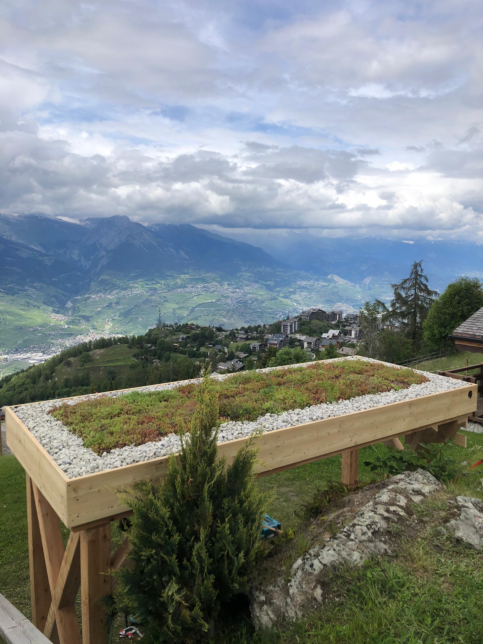 Transform your Home with a GrufeKit Green Roof - GrufeKit News