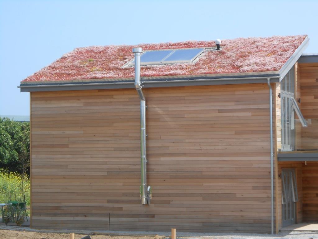 How a GrufeKit Green Roof Can Improve Biodiversity - GrufeKit News