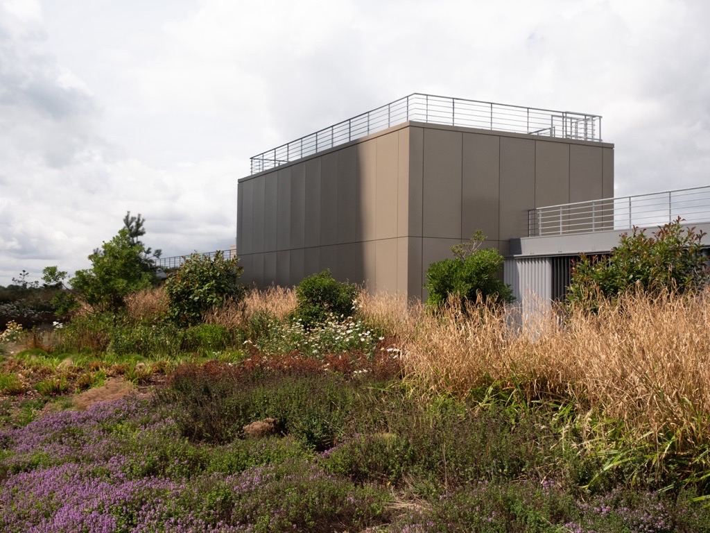 The Importance of Intensive Green Roofs - GrufeKit News