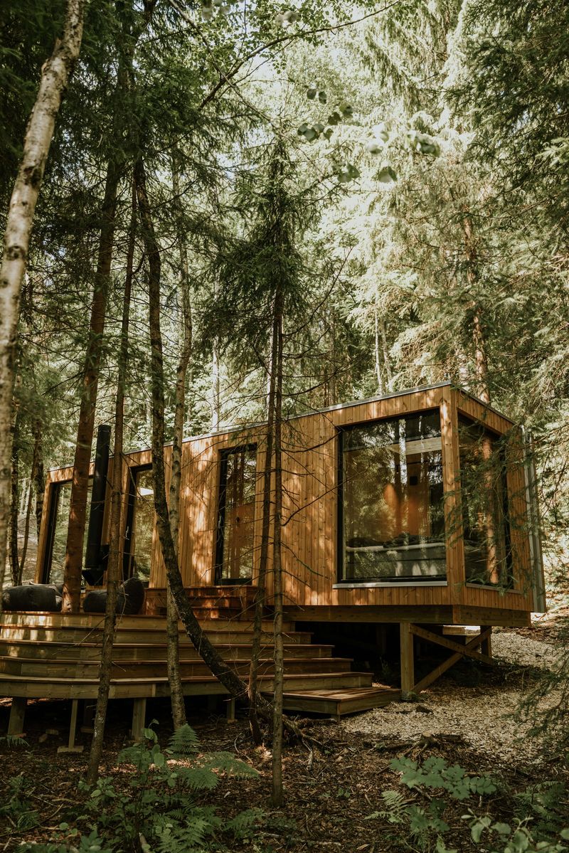 The Forest Cabins