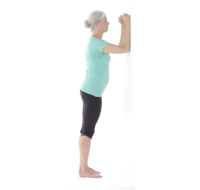 How to perform the Wall Plank Exercise - Physitrack