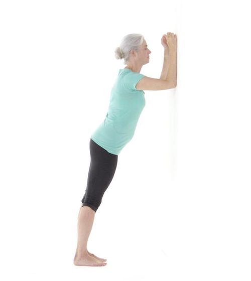 How to perform the Wall Plank Exercise - Physitrack