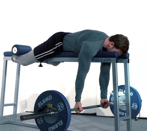 How to perform the Prone Row Bench - Physitrack