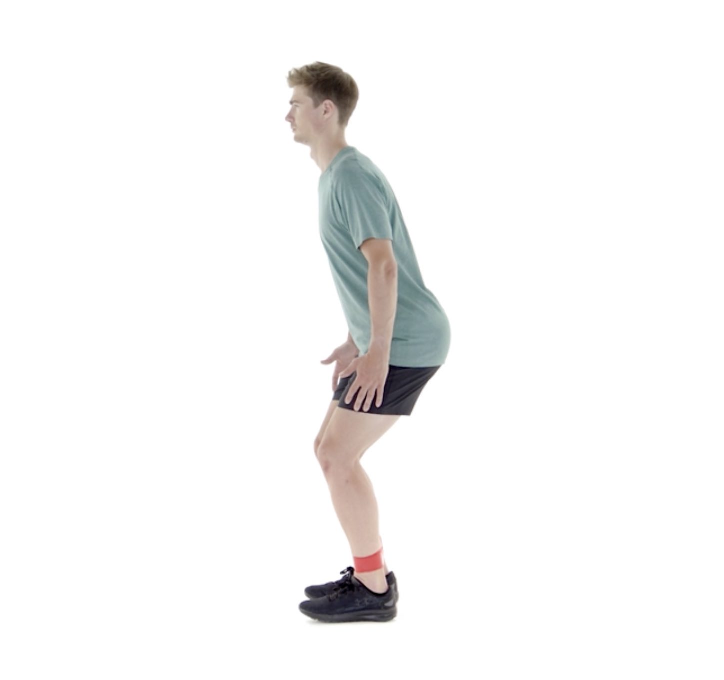 How to perform the Monster Walks - Physitrack