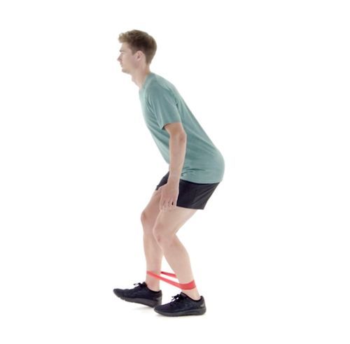 How to perform the Monster Walks - Physitrack