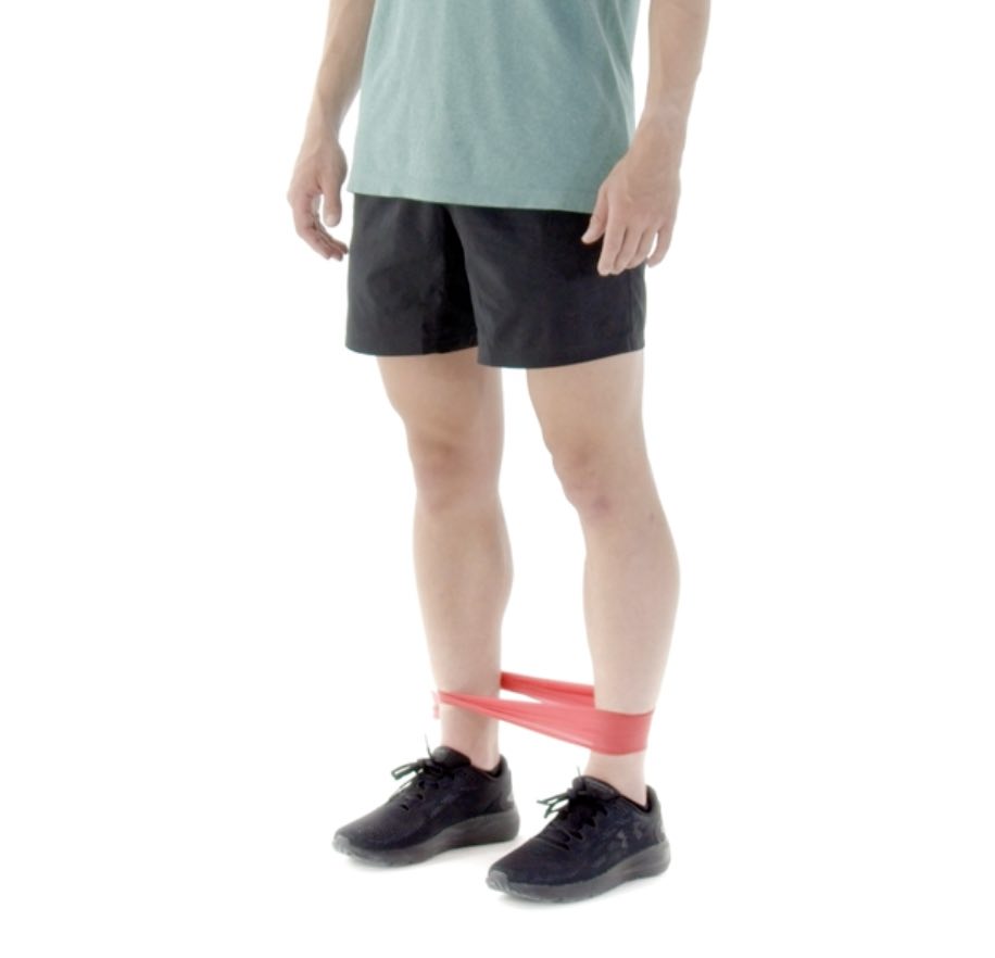 How to perform the Monster Walks - Physitrack