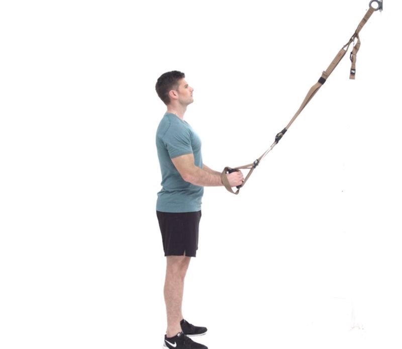 How to perform the Low Row - Physitrack