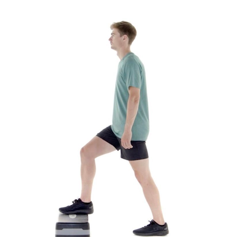 Cómo realizar los Jumping Step Ups - Physitrack