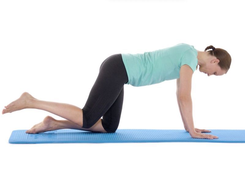 How to perform the Hip Circles - Physitrack