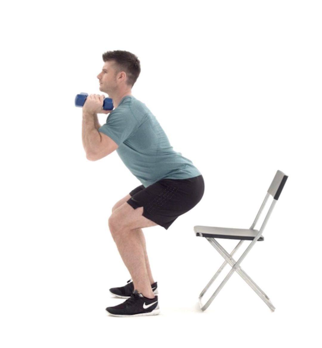 How to perform the Box Squat Box - Physitrack