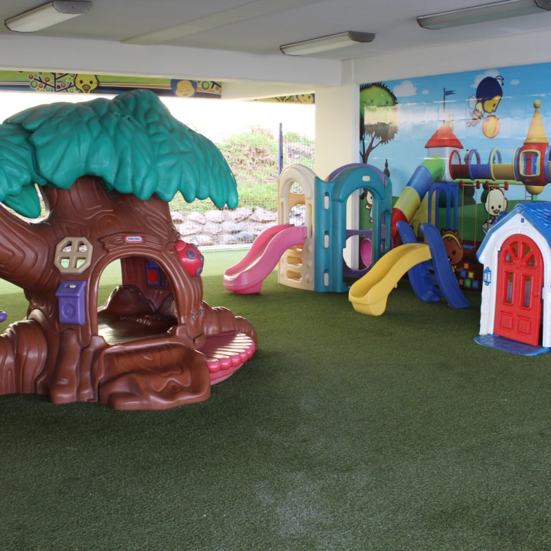 Instituto Cumbres León | Solicita información de admisiones