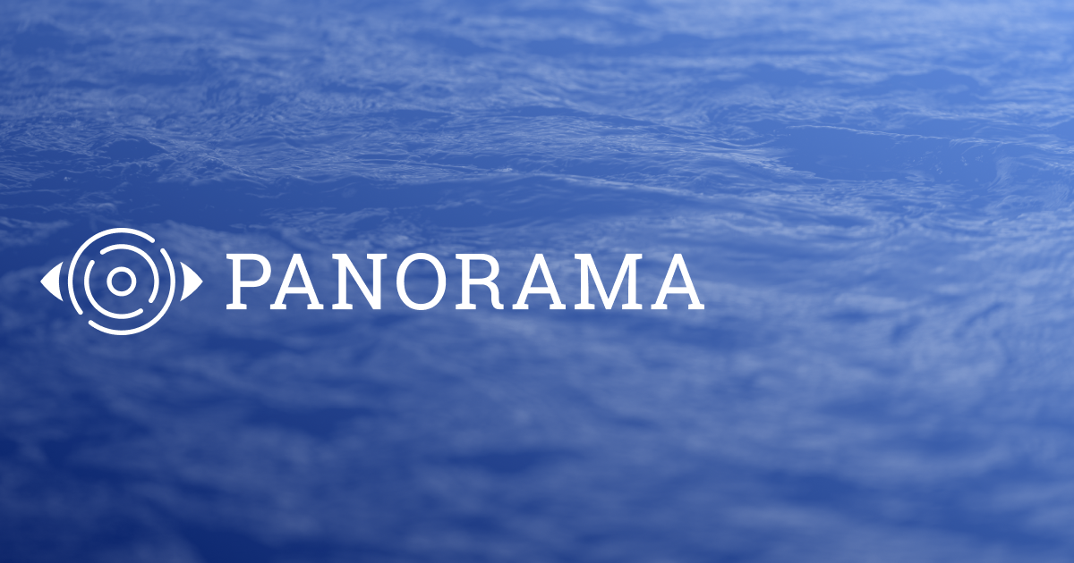 What we do | Panorama Strategy
