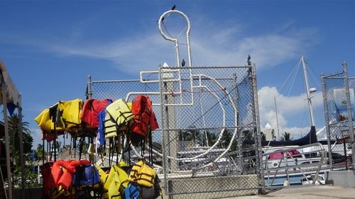 About us | Shake-A-Leg Miami