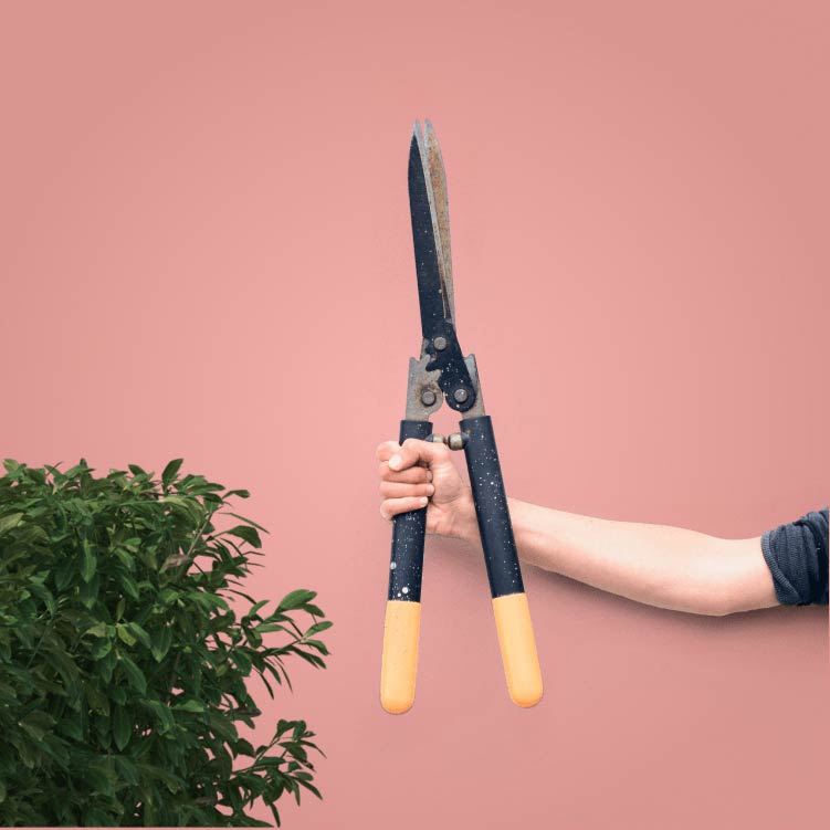 Get jobs with Whizz Group, Australia's leading home services ...