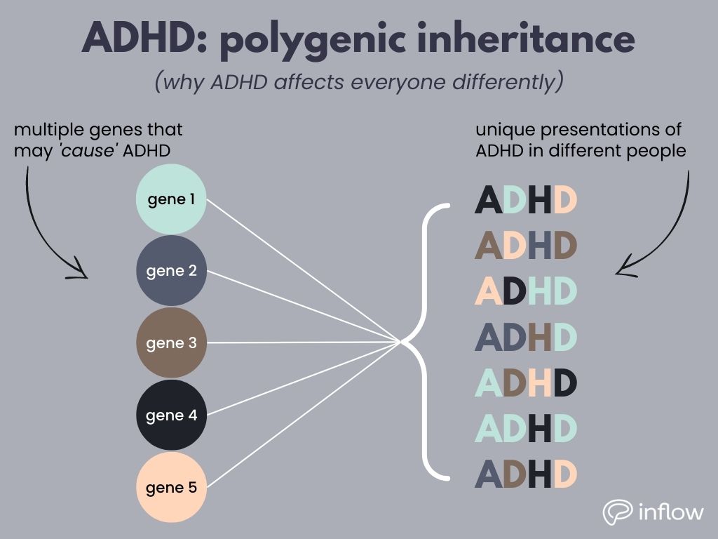 ADHD genetics, explained: How it's passed on through generations