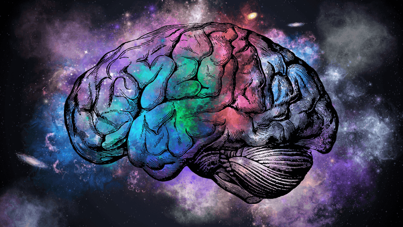 Are ADHD and IQ connected?