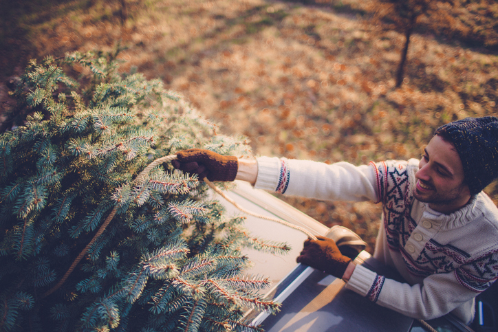 G3 Help Me | Blogs - How to Safely Transport Your Christmas Tree