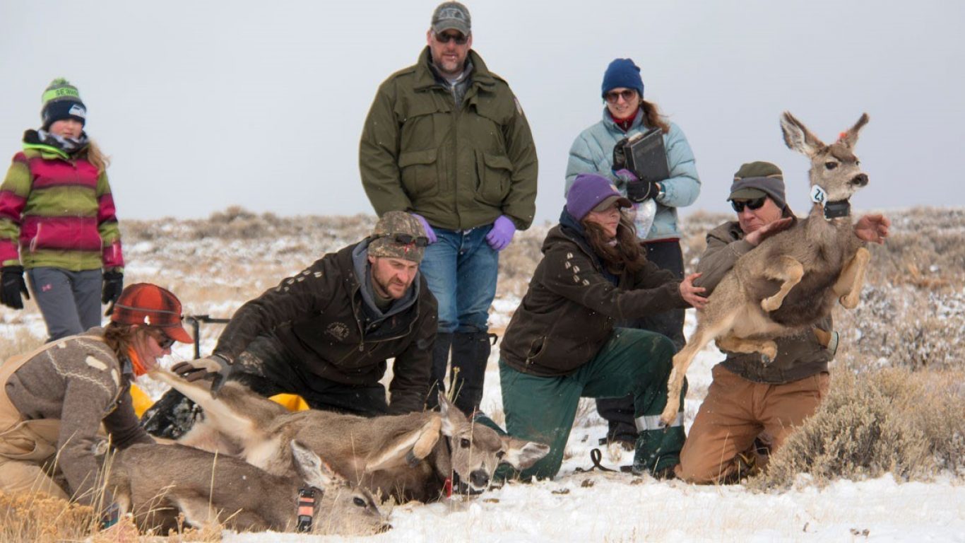 A Tool for Engaging a Non-Hunting Public