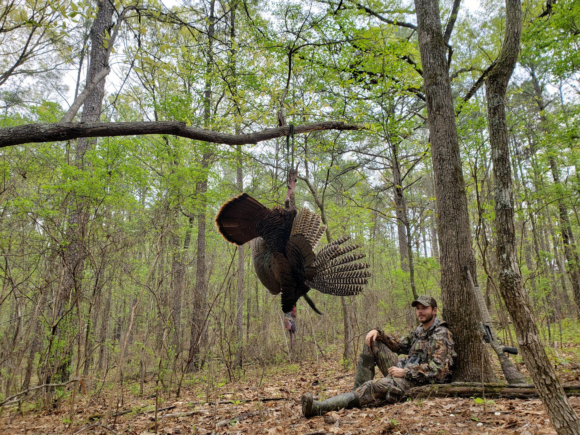 Limbhanger - 49 Mini Series: A Guide To Completing The US Super Slam