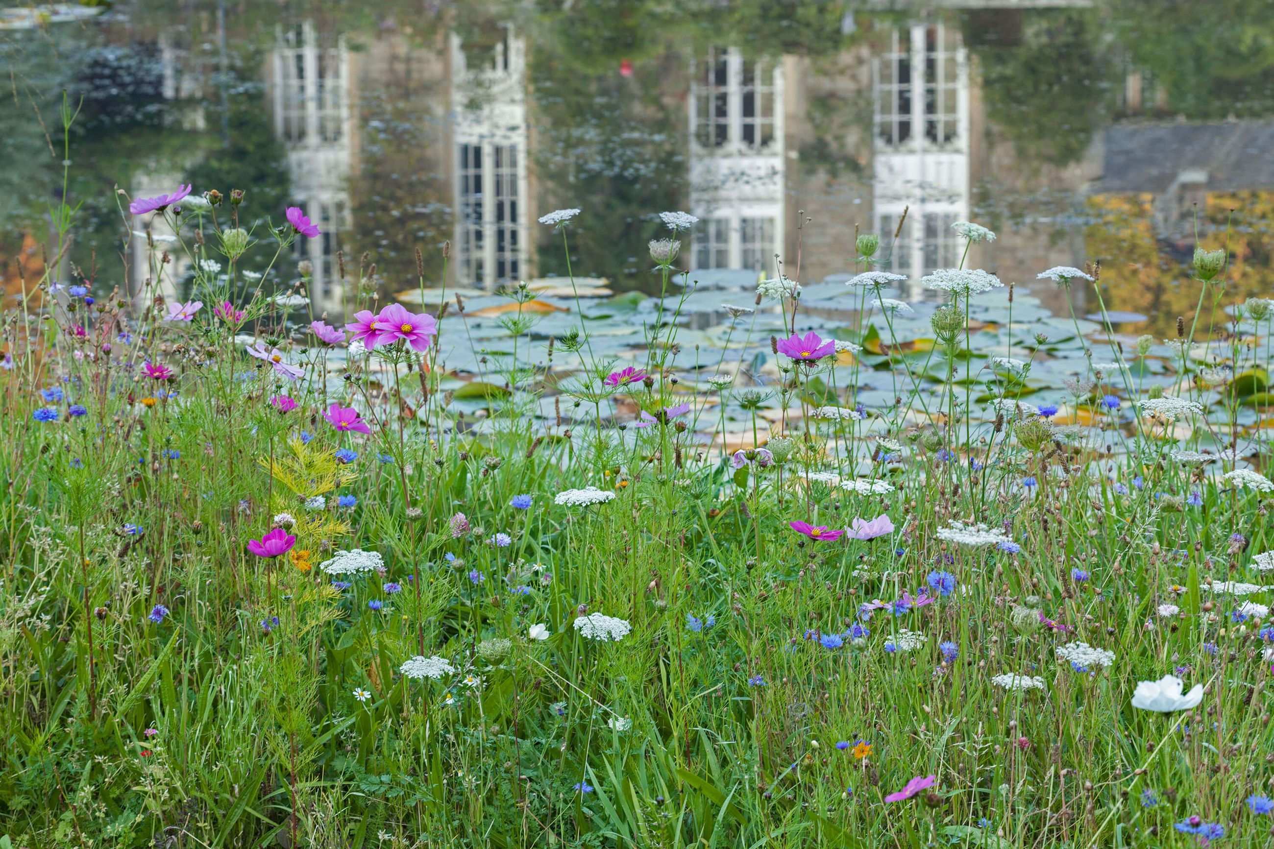 Gresgarth Hall | Lake & Pond Borders