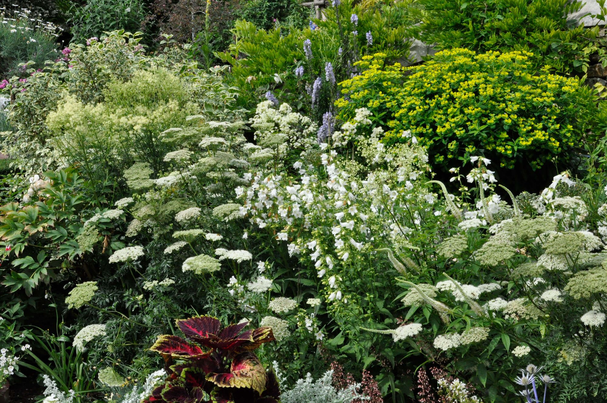 Gresgarth Hall | Herbaceous Borders